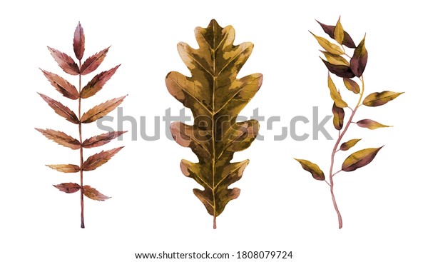 Dried Leaf Set Design Greeting Banners Stock Illustration 1808079724 ...