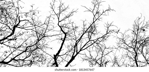 Stock Photo and Image Portfolio by AYAN BARAI | Shutterstock