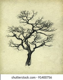39,785 Bare tree textures Images, Stock Photos & Vectors | Shutterstock