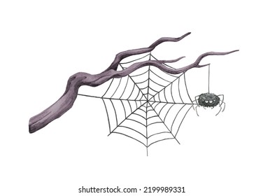 84,617 Spider On The Tree Images, Stock Photos & Vectors | Shutterstock