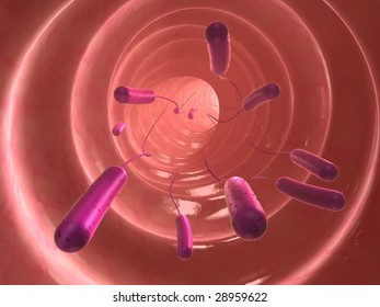 996 Colon bacillus Images, Stock Photos & Vectors | Shutterstock