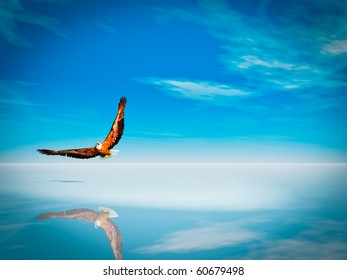 265 Scared Eagle Images, Stock Photos & Vectors | Shutterstock