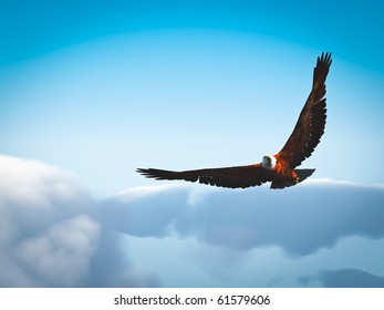 265 Scared Eagle Images, Stock Photos & Vectors | Shutterstock
