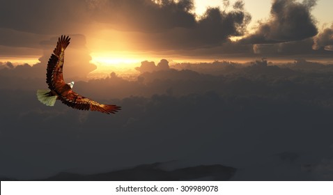 Eagle Flight Above Dramatic Cloudscape Created Stock Illustration 309989078 | Shutterstock