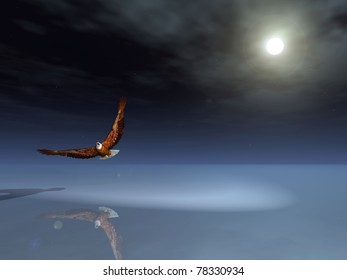265 Scared Eagle Images, Stock Photos & Vectors | Shutterstock