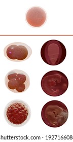 Zigota Images, Stock Photos & Vectors | Shutterstock