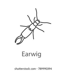 Earwig Linear Icon Insect Thin Line Stock Illustration 789990394 ...