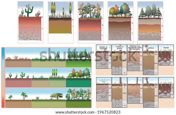 Edaphology Soil Soil Structure Different Types Stock Illustration ...