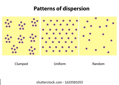 490 Types dispersion Images, Stock Photos & Vectors | Shutterstock