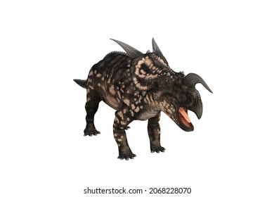 Einiosaurus Different Angles Poses Rendered On Stock Illustration ...