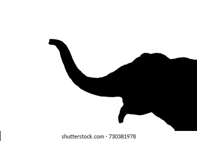 20 Asian elephant face profile Stock Illustrations, Images & Vectors ...