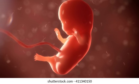 168 Phases Of Born Images, Stock Photos & Vectors | Shutterstock