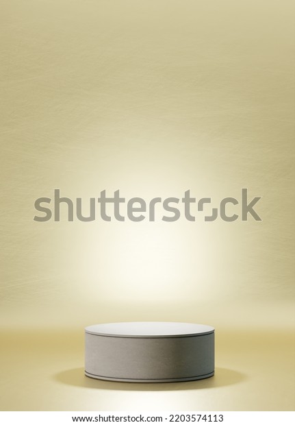 Empty Stone Basic Podium Hipster Light Stock Illustration 2203574113 ...