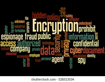 Encryption Word Cloud Concept On Black Stock Illustration 528313534 ...