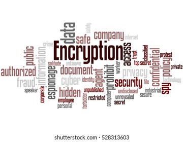 Encryption Word Cloud Concept On White Stock Illustration 528313603 ...