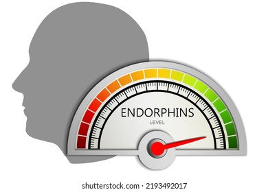 90 3d Endorphins Images, Stock Photos & Vectors | Shutterstock