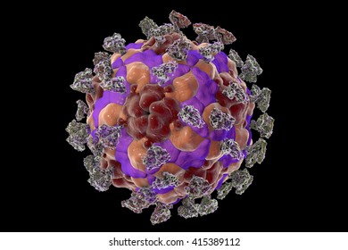 39 imágenes de Echovirus - Imágenes, fotos y vectores de stock ...