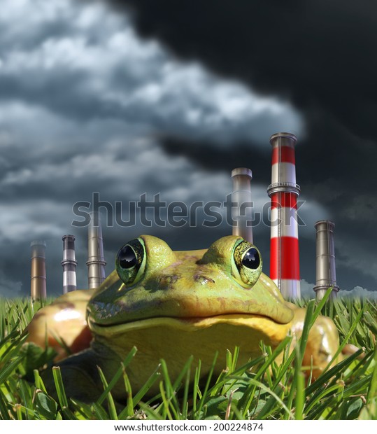 Environmental Pollution Global Warming Concept Frog Stock Illustration ...
