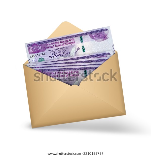 Ethiopian Birr Notes Inside Open Brown Stock Illustration 2210188789 ...