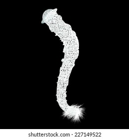 Euplectella Stock Illustration 227149522 | Shutterstock