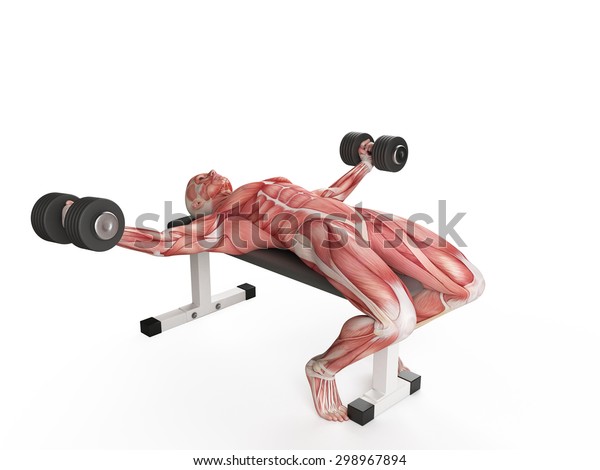 Exercise Illustration Dumbbell Fly Stock Illustration 298967894