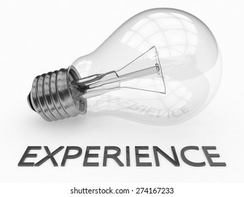 Experience Lightbulb On White Background Text Stock Illustration ...