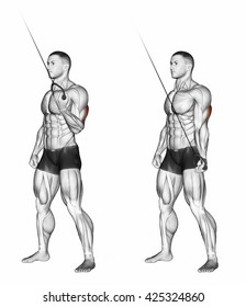 917 Triceps extensions Images, Stock Photos & Vectors | Shutterstock