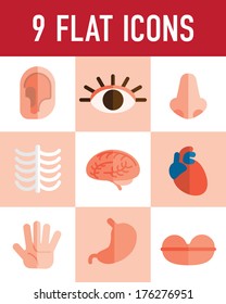External Internal Organs Flat Icon Stock Illustration 176276951 ...