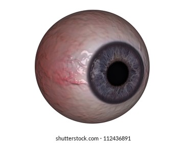 19,102 Eye Bulb Images, Stock Photos & Vectors | Shutterstock