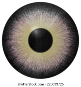 Human Eye Texture Stock Photo 616504475 | Shutterstock