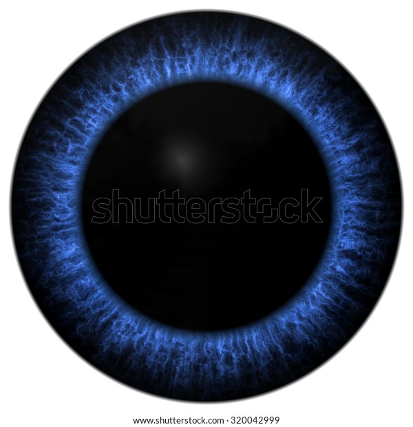 Eye Iris Generated Realistic Color Stock Illustration 320042999 ...