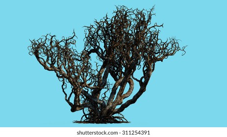 4,193 Scary tree 3d Images, Stock Photos & Vectors | Shutterstock