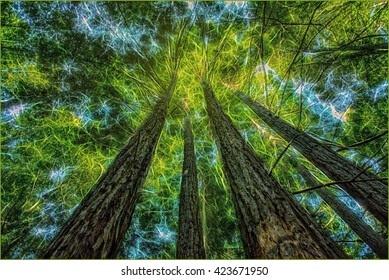Fantasy Forest Canopy Looking Trees Fantasy Stock Illustration ...