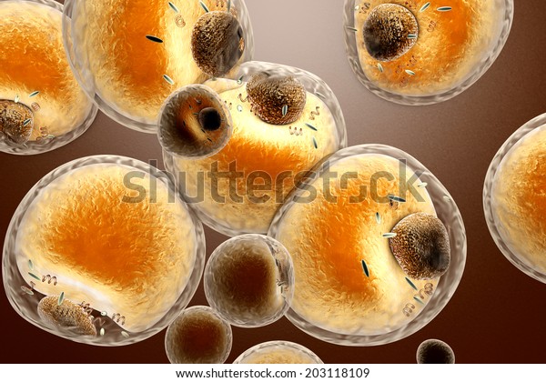 Fat Cells Human Body 3d Rendered Stock Illustration 203118109