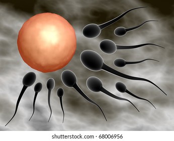 Fecundation Stock Illustration 68006956 | Shutterstock