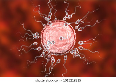 Spermatozoan Images, Stock Photos & Vectors | Shutterstock