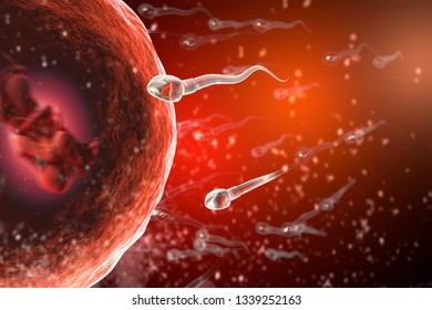 Spermatozoan Images, Stock Photos & Vectors | Shutterstock