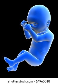 Fetus Stock Illustration 14965018 | Shutterstock