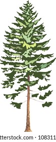 Fir Tree Stock Illustration 108311369 | Shutterstock