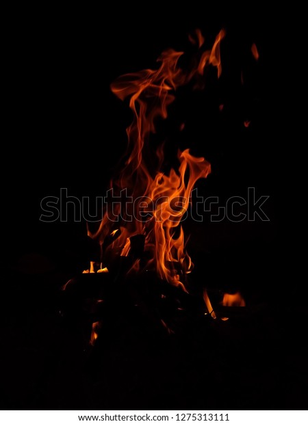 Fire Red Flame Stock Illustration 1275313111 | Shutterstock