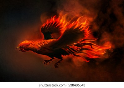 Fire Rooster Stock Illustration 538486543 | Shutterstock