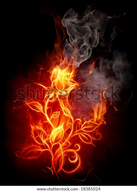 Fire Rose Stock Illustration 18385024
