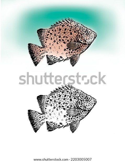 Fish Drawing 3d Illustration 3d Rendering Stock Illustration 2203005007 ...