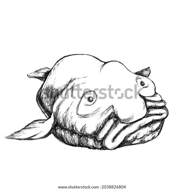 Fish Drop On White Background Image Stock Illustration 2038826804 ...