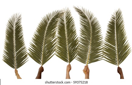 8,492 Waving palm Images, Stock Photos & Vectors | Shutterstock