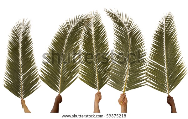 Five Hands Waving Palm Branches Against Stock Illustration 59375218