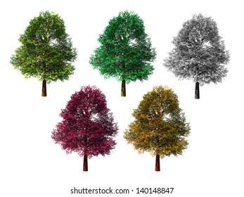 Five Isolated Colored Trees On White Stock Illustration 140148847 ...