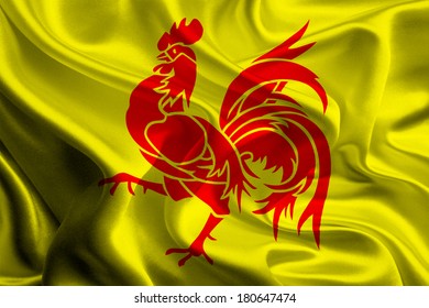 Wallonia Belgium Flags Scar Concept Waving 스톡 일러스트 1411162856 ...