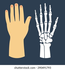 Flat Design Hand Hand Skeleton Bitmap Stock Illustration 290491793 ...