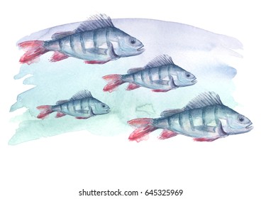 Flock Fish Perch Drawing Made By Stock Illustration 645325969 ...